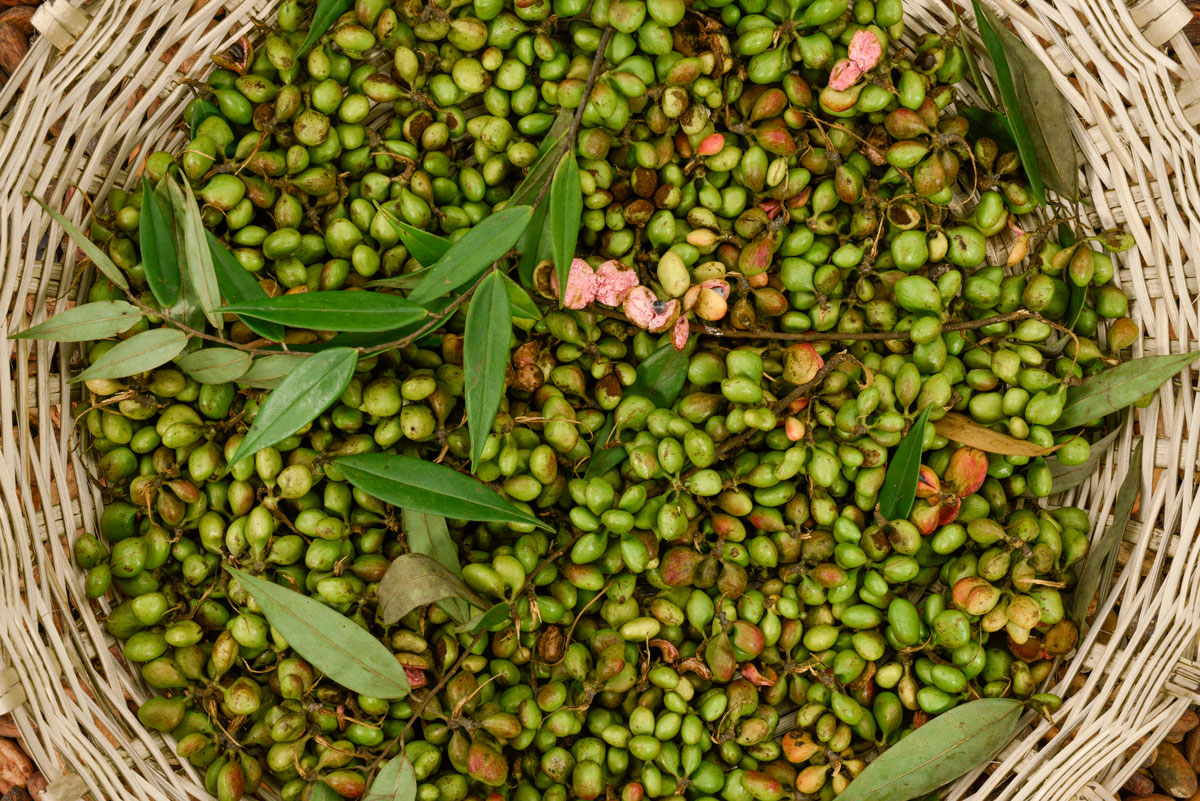 Mayan archaeology in the perspective of art, iconography, epigraphy ...