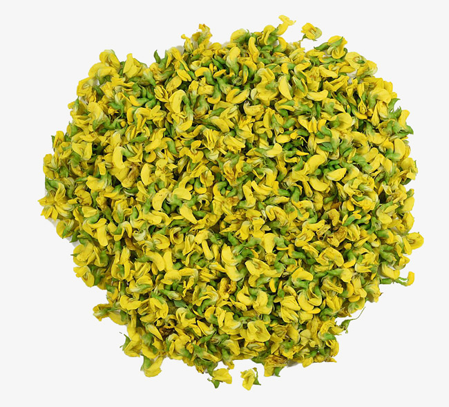 Another edible plant missing from 90% of “Lists of Edible Plants